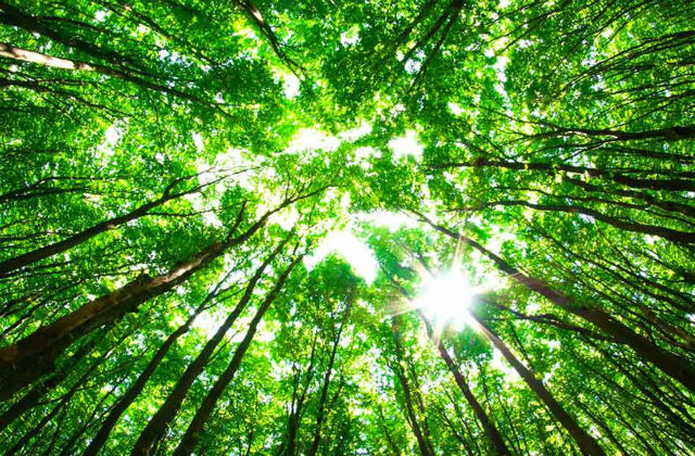 GREEN WASHING – nouvelle bio – Pierre Foucher, auteur